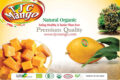 TJC MANGO – Ellawala Horticulture