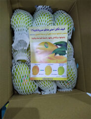 TJC MANGO – Ellawala Horticulture