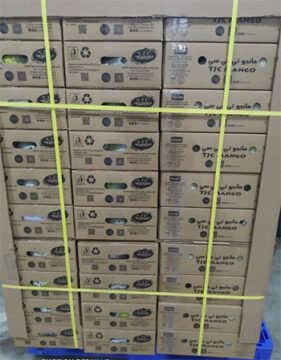 TJC MANGO – Ellawala Horticulture