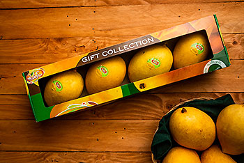 TJC MANGO – Ellawala Horticulture