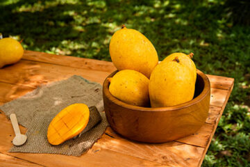 TJC MANGO – Ellawala Horticulture