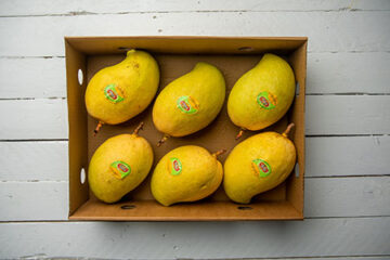 TJC MANGO – Ellawala Horticulture